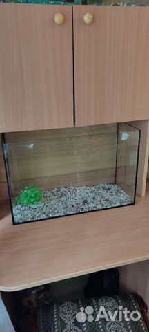 Аквариум