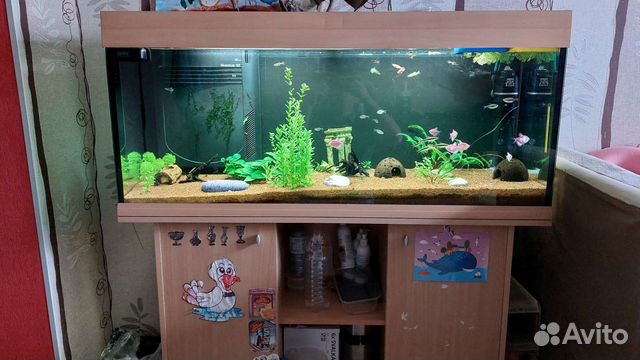 Аквариум с тумбой 240 л