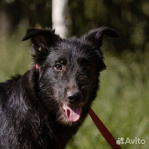 Грюнендаль