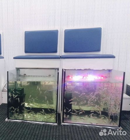 Продам аквариум 125л