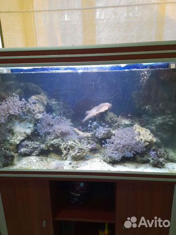 Украшения для аквариума