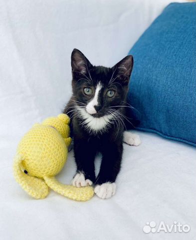 Самый ласковый малыш на свете