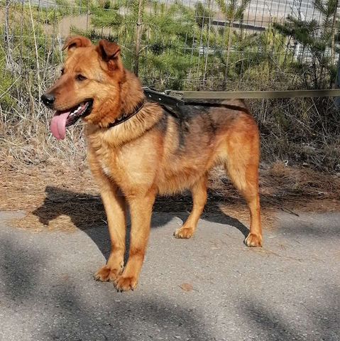 Прекрасная охранница