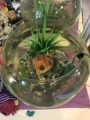 Аквариум+ 2 гуппи+ оборудование и корм