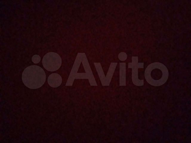 Домашние животные щенки